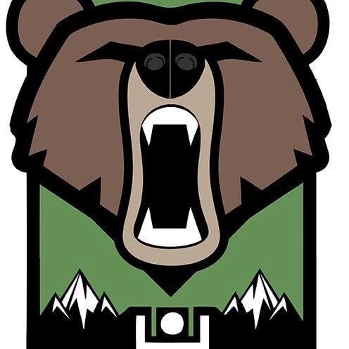 Grizzly Observational Awareness