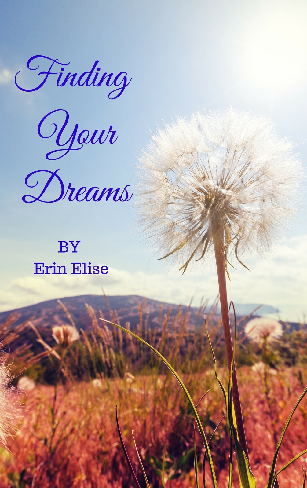Finding Your Dreams By Erin Elise