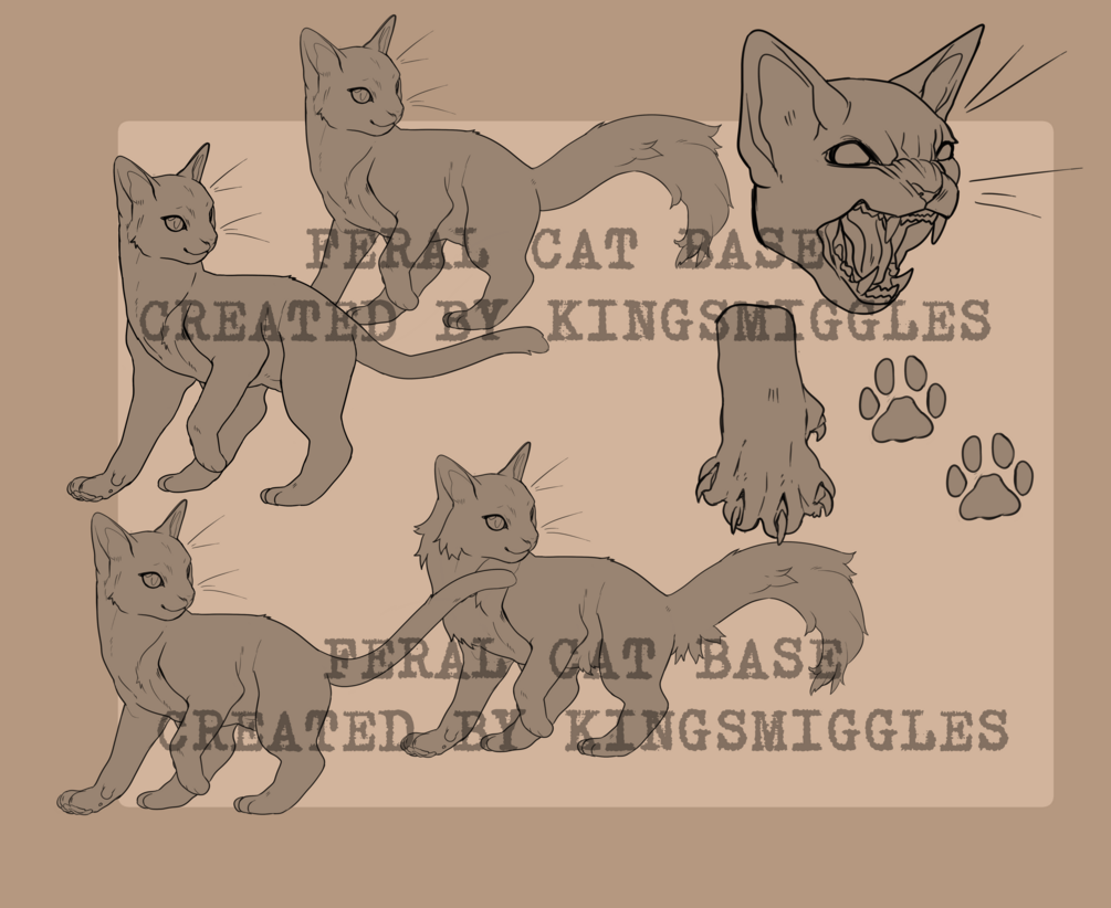 Feral Cat Base V2