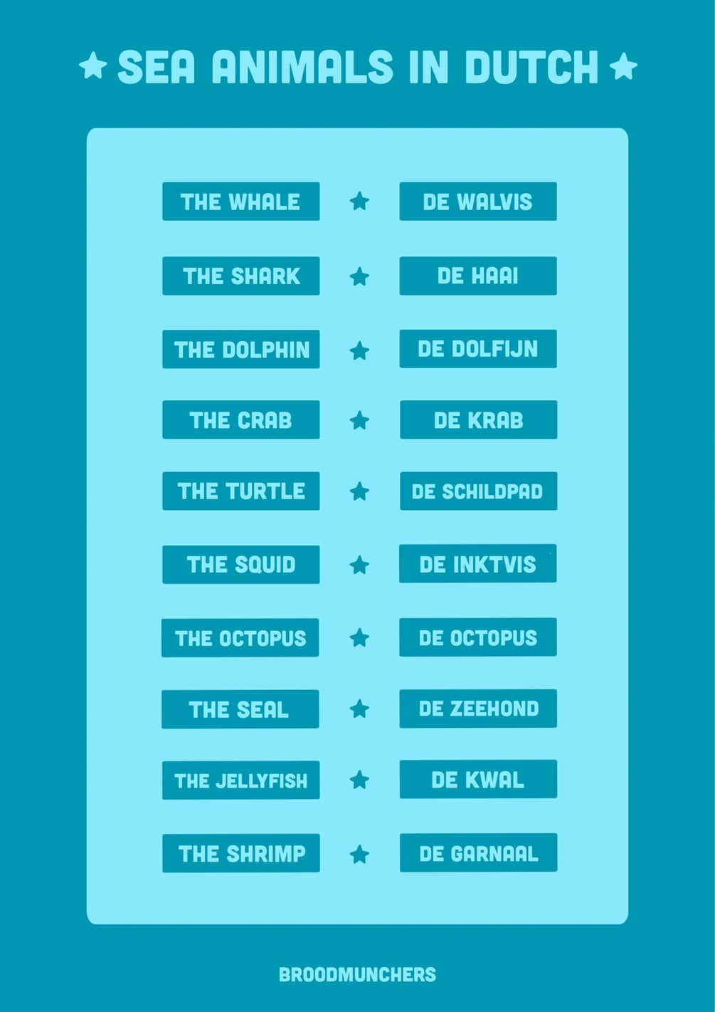 sea animals in Dutch (vocabulary list)