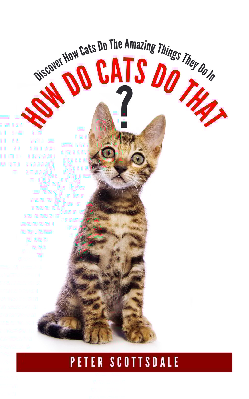 How Do Cats Do That? Discover How Cats Do The Amazing Things They Do