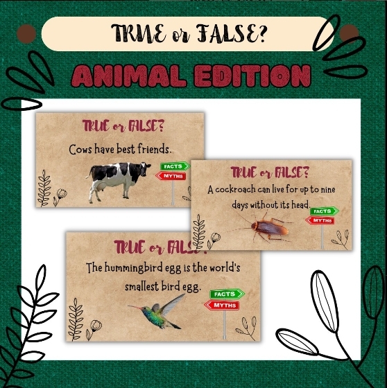 AMAZING ANIMALS - TRUE OR FALSE