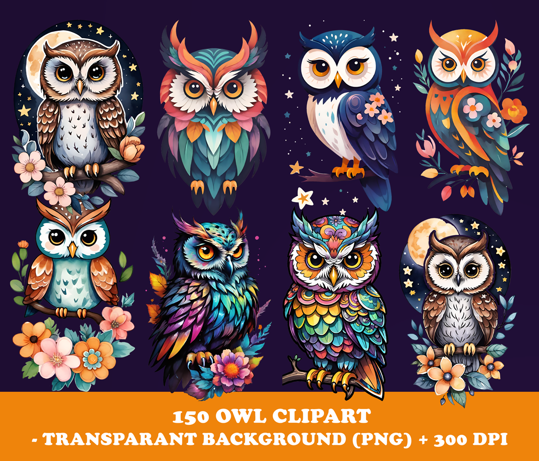 150 Owl Clipart With Transparant Background (PNG)