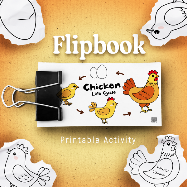 Life cycles printable flipbook activities #1 - butterfly, sunflower ...