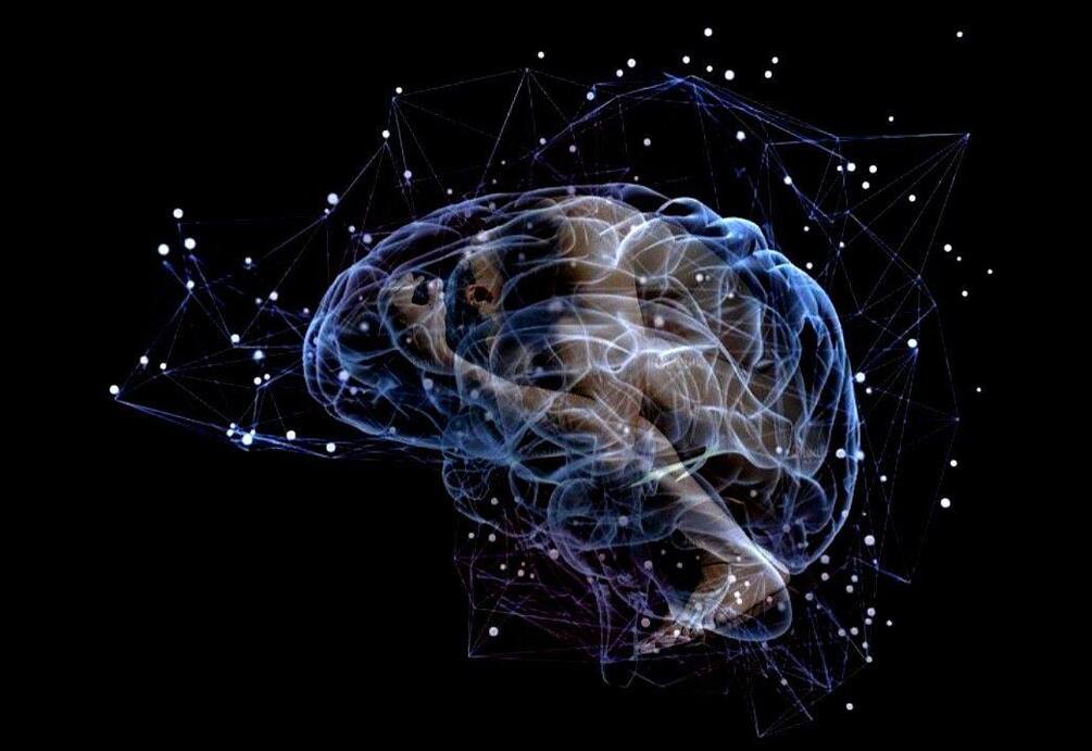 Limitless Brain Boosted