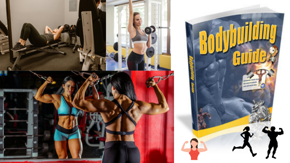 Body Building Guide