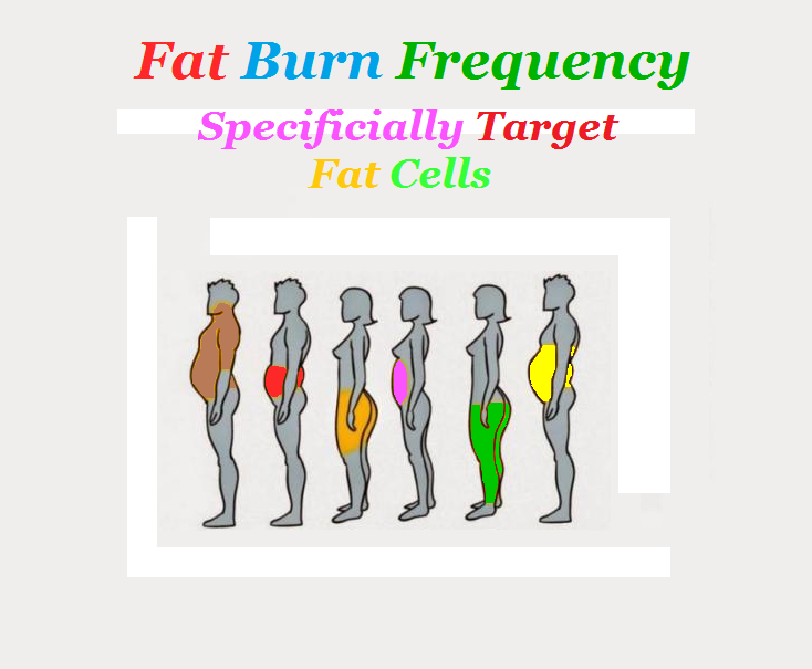 Fat Burn Frequency Meditation (Target Fat Cell/Weight Loss)