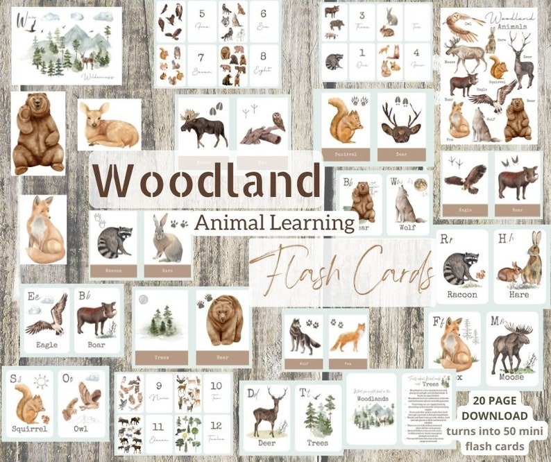 WOODLAND ANIMALS morning basket