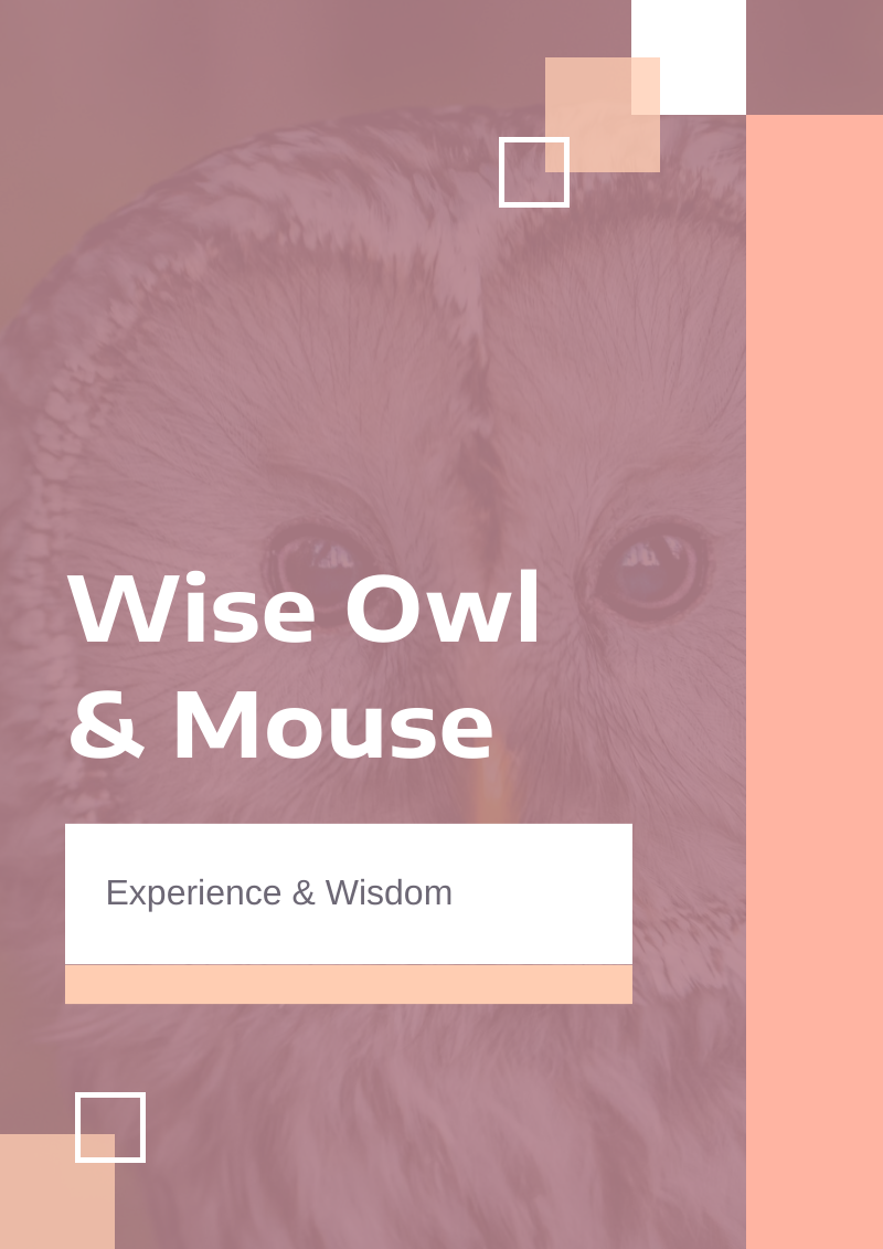 Ebook: Wise Owl and the Foolish Mouse
