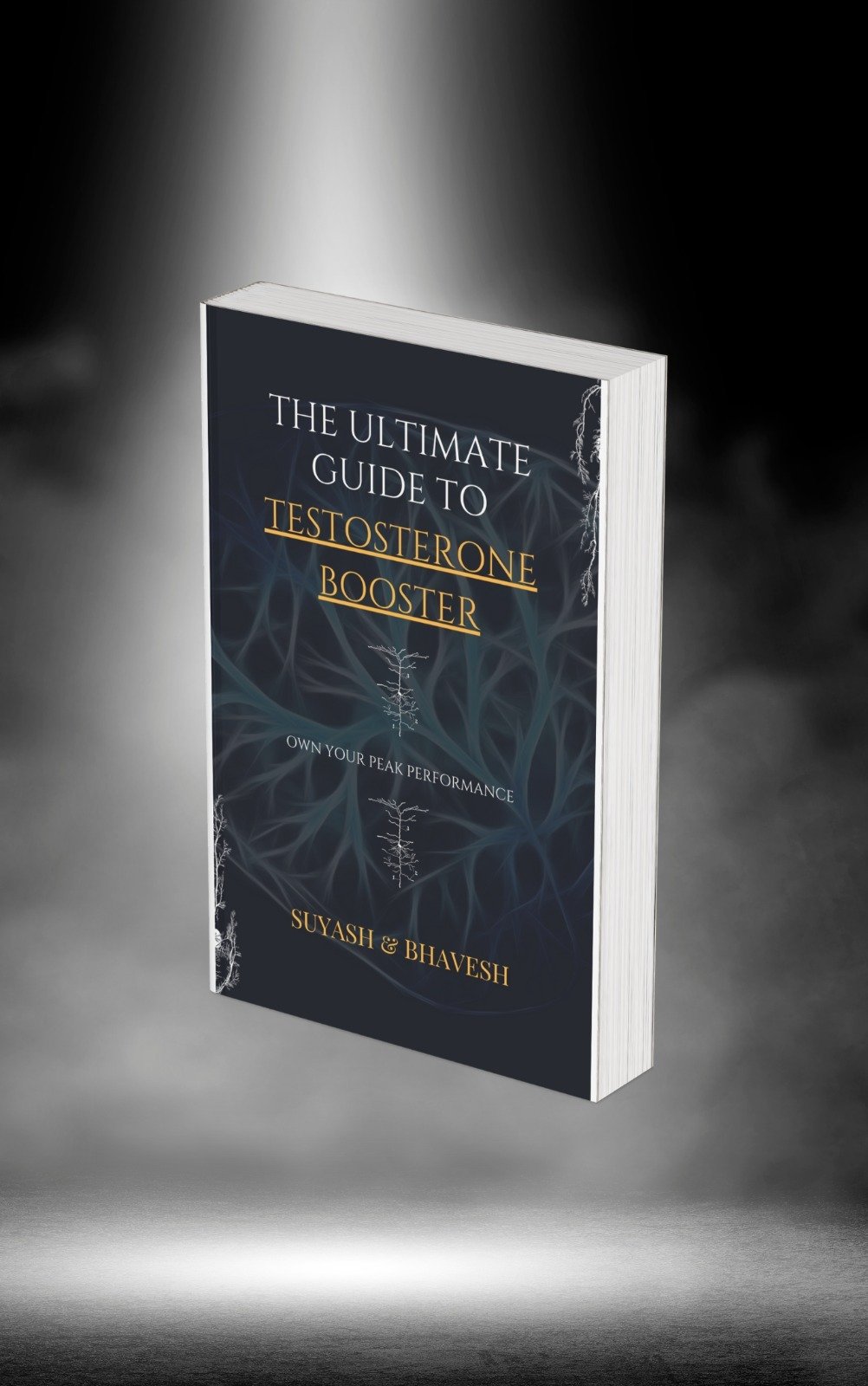 THE ULTIMATE GUIDE TO TESTOSTERONE BOOSTER