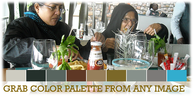 Grab Color Palette From Any Image