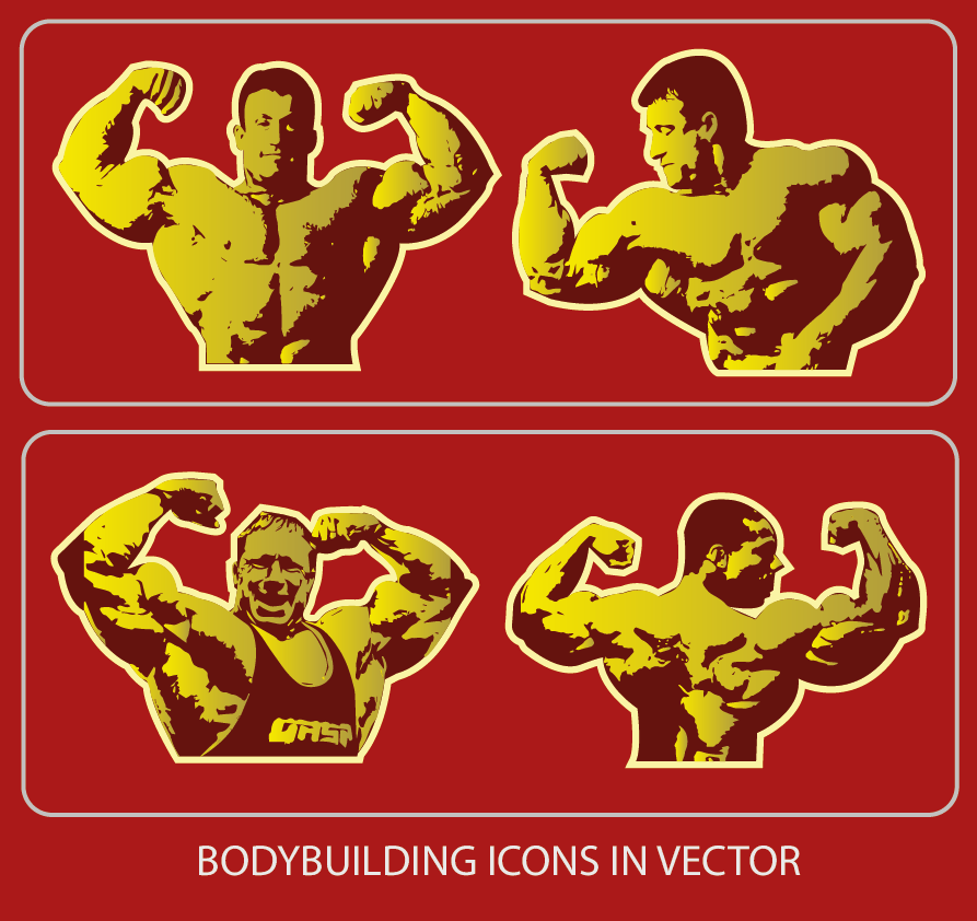 4 high quality body building icons in vector