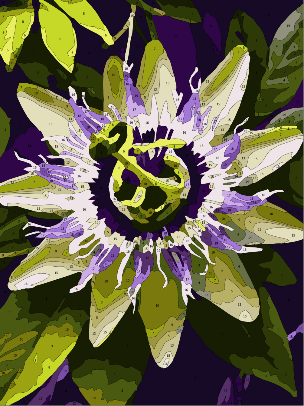 Passionflower Color by Number Coloring Page