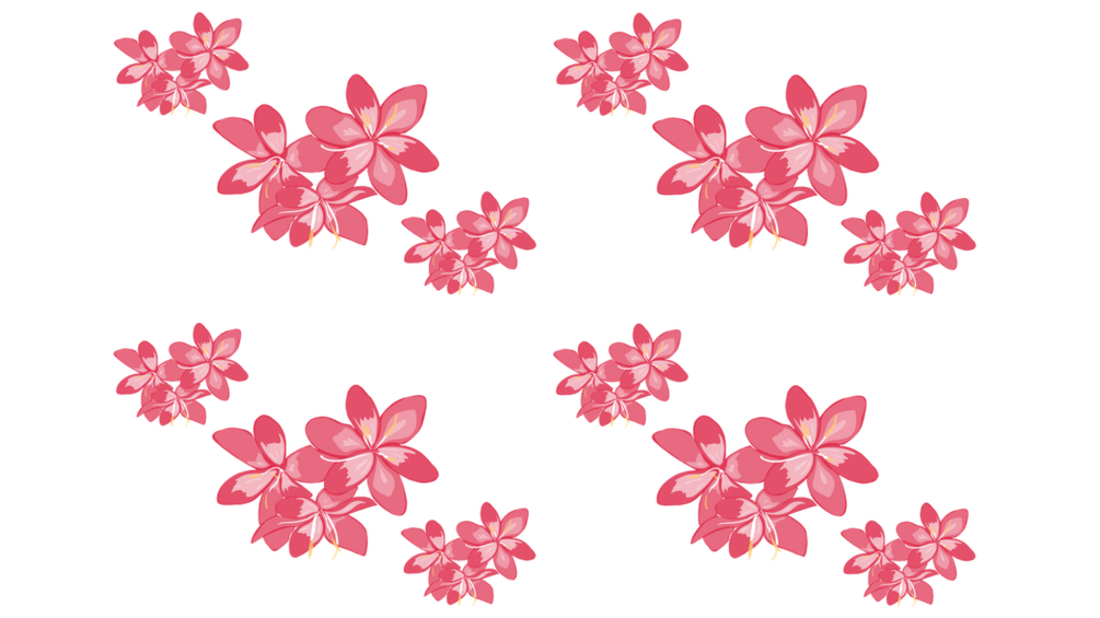"Pink Frangipani Floral M Wallpaper – Monogram Vector Art