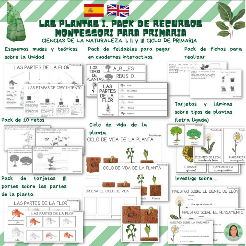 𝐏𝐚𝐜𝐤 𝐝𝐞 𝐫𝐞𝐜𝐮𝐫𝐬𝐨𝐬 "𝐋𝐚𝐬 𝐩𝐥𝐚𝐧𝐭𝐚𝐬". 𝐌𝐚𝐭𝐞𝐫𝐢𝐚𝐥𝐞𝐬 𝐚𝐝𝐚𝐩𝐭𝐚𝐝𝐨𝐬 𝐌𝐨𝐧𝐭𝐞𝐬𝐬𝐨𝐫𝐢 𝐩𝐚𝐫𝐚 ...