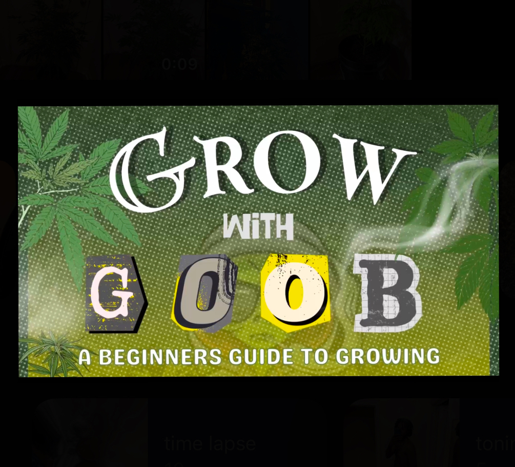 Grow With Goob A Beginner’s Guide To Growing