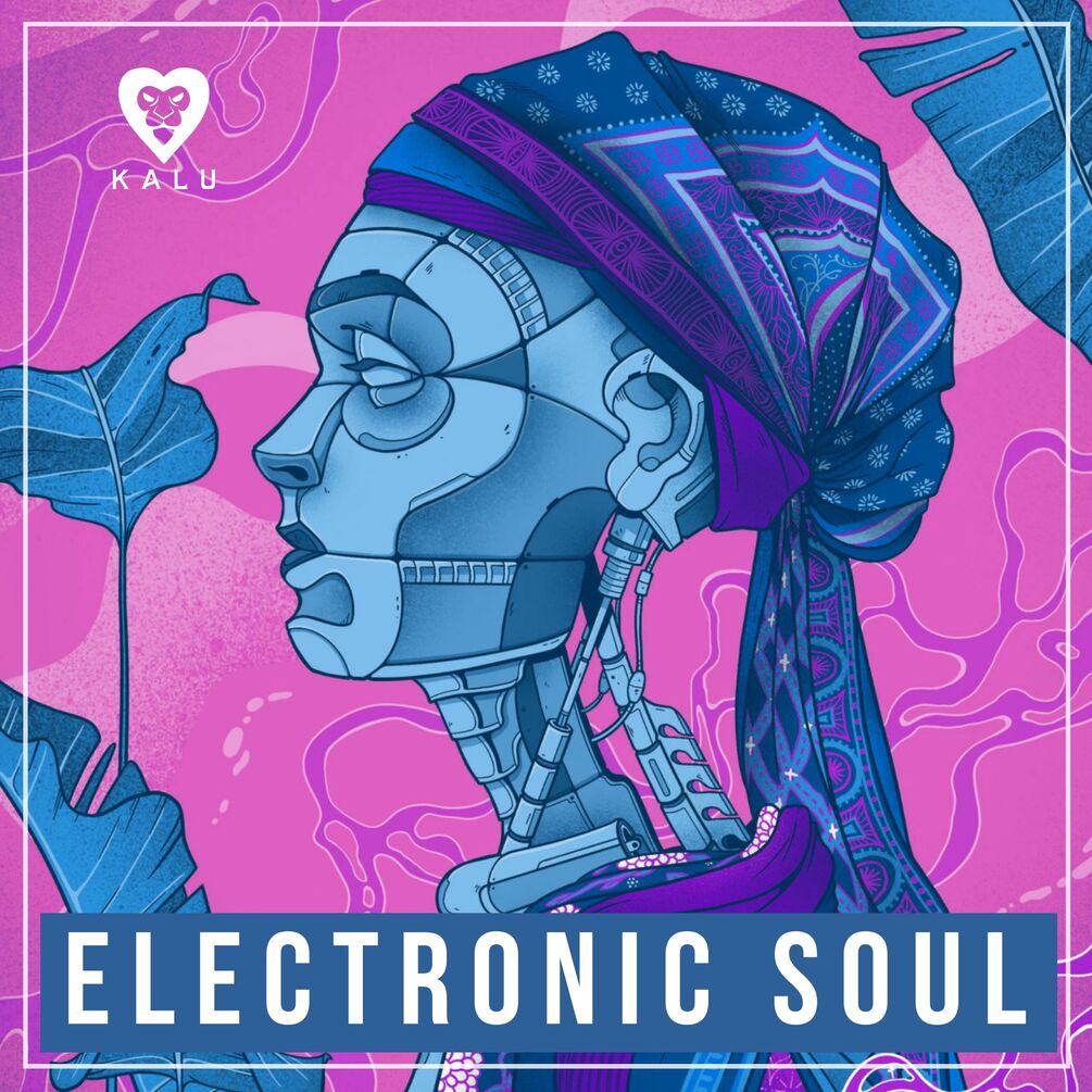 Electronic Soul - Sample Pack