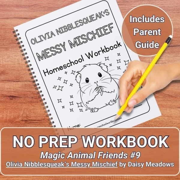 Magic Animal Friends Bundle 9-12 Daisy Meadows Books | Homeschool ...
