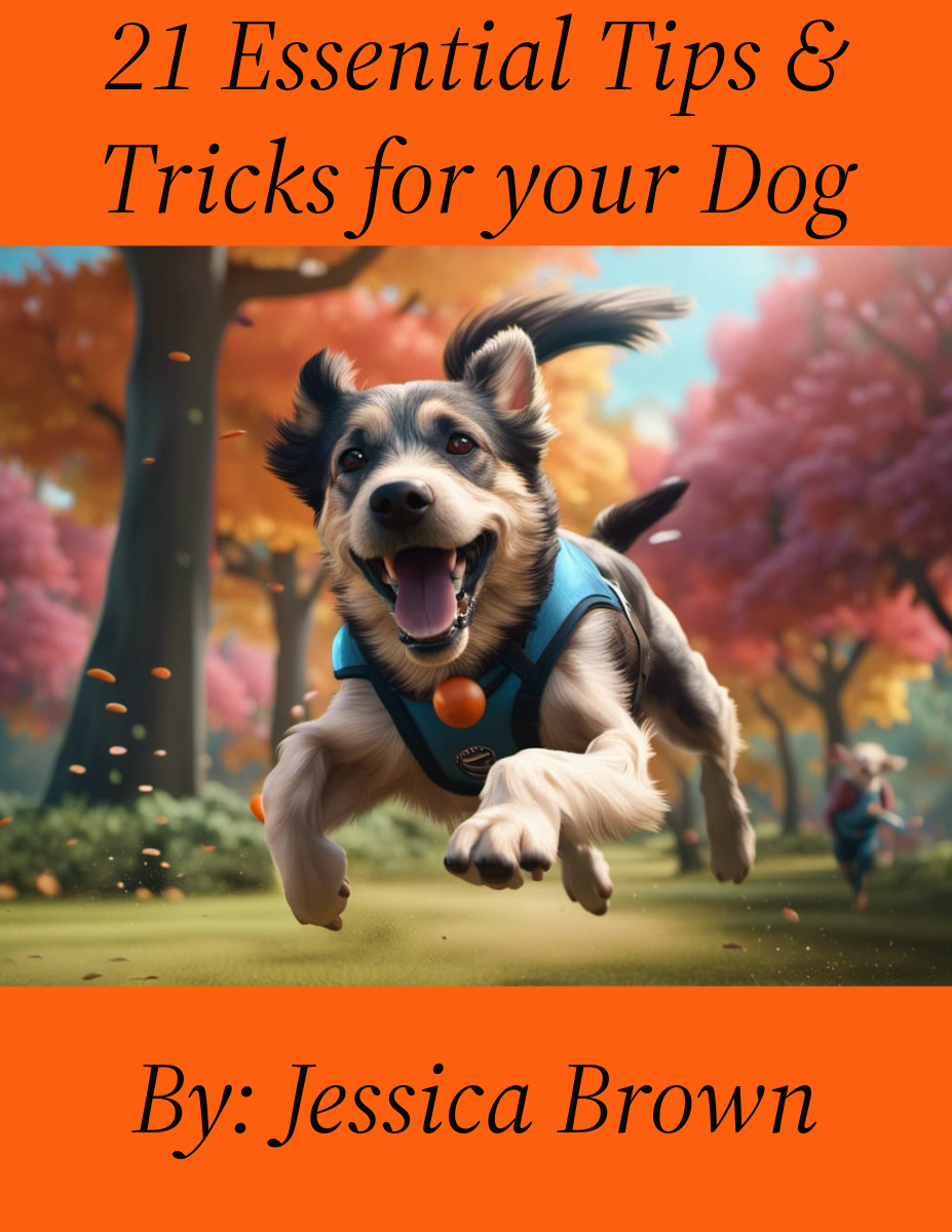 21 Essential tips and tricks for your dog pdf file