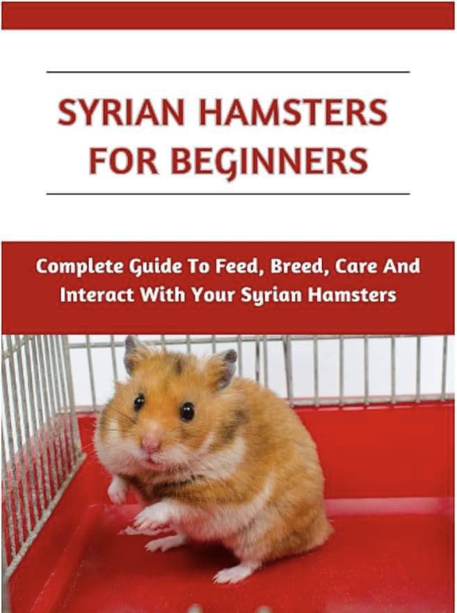 Syrian Hamsters Care Guide