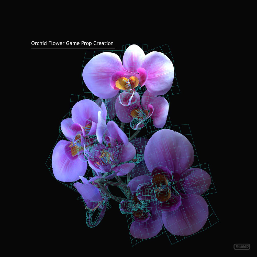Orchid Flower Game Prop Creation