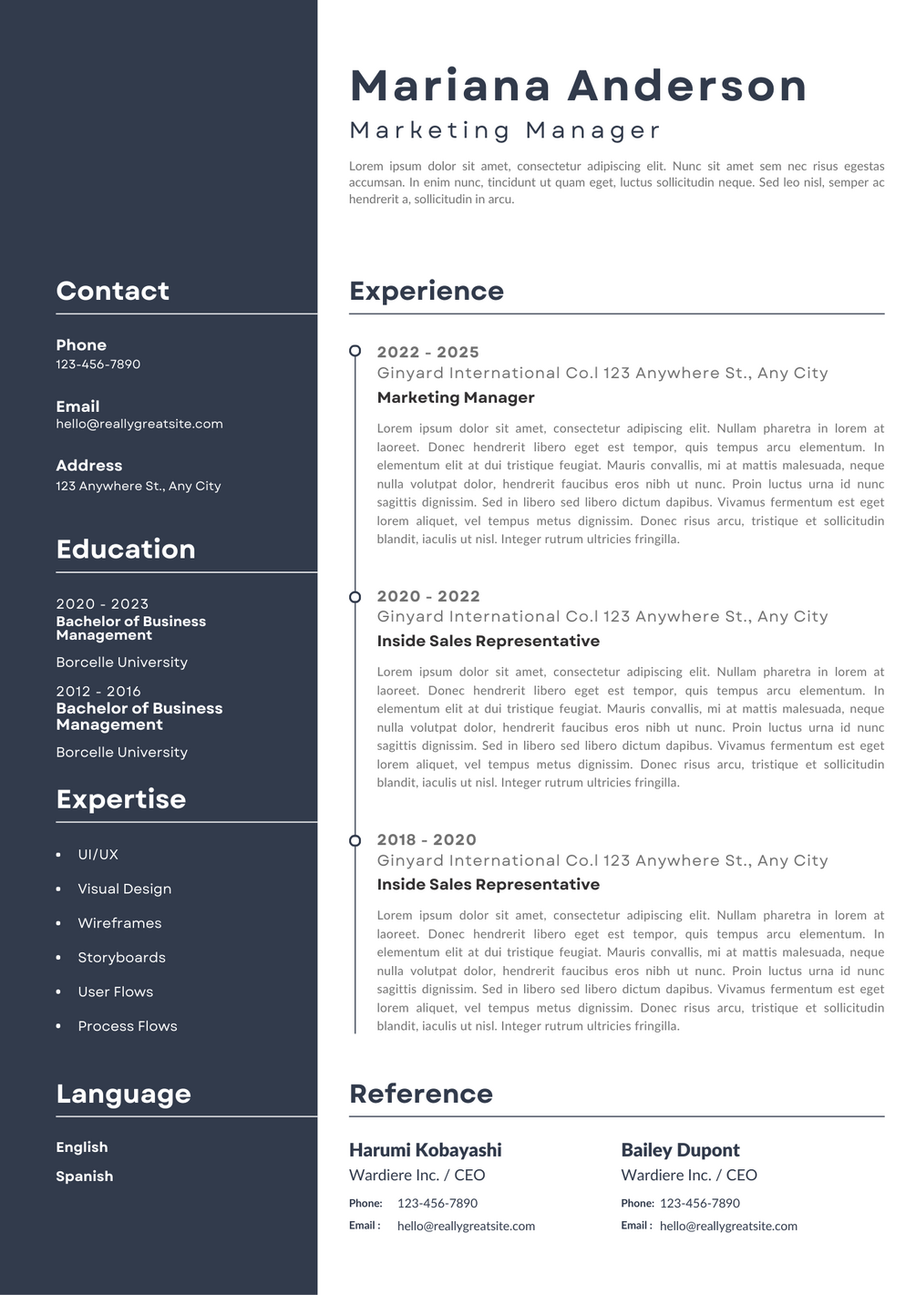 Professional Resume 04