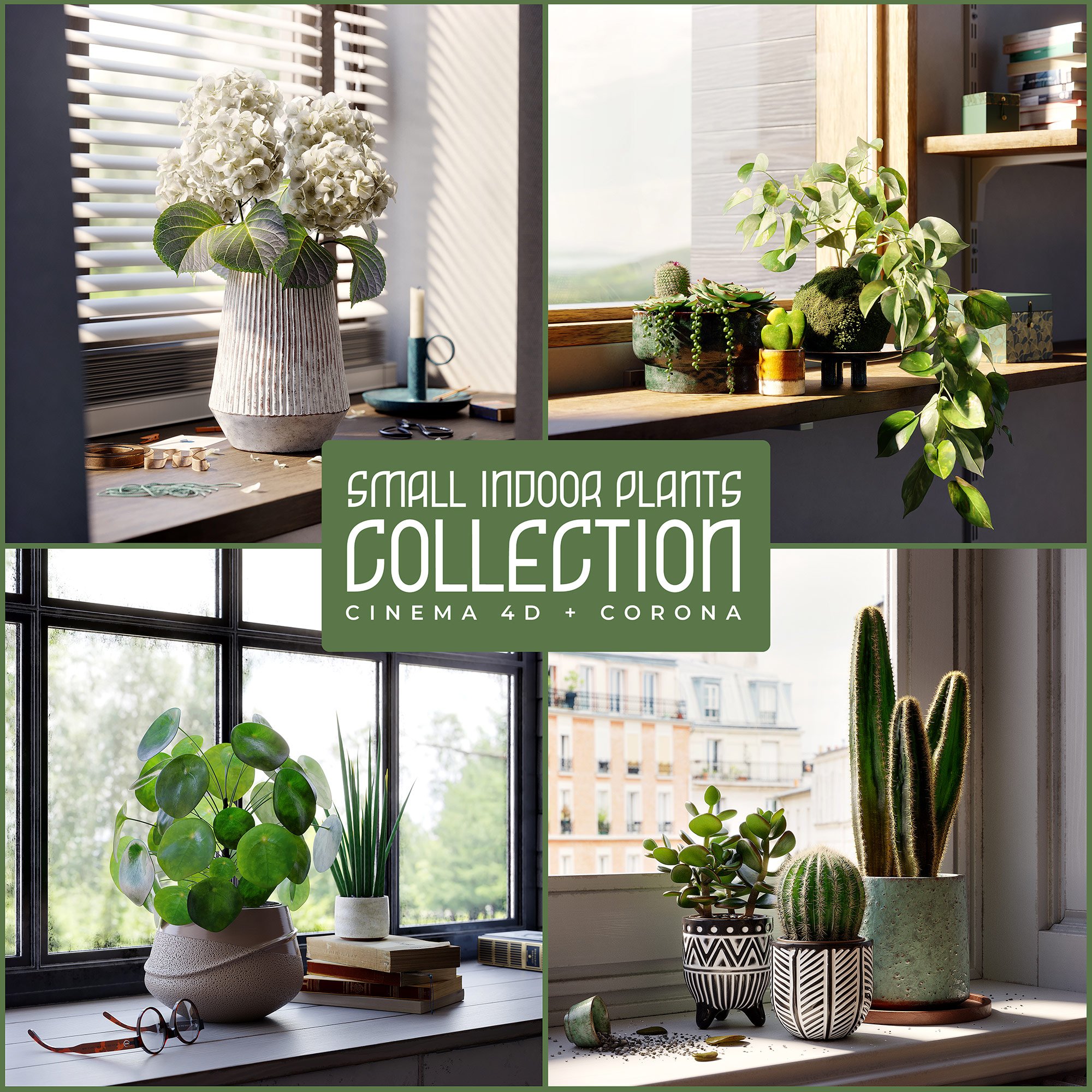 New product now available in my Gumroad page: INDOOR PLANTS COLLECTION ...