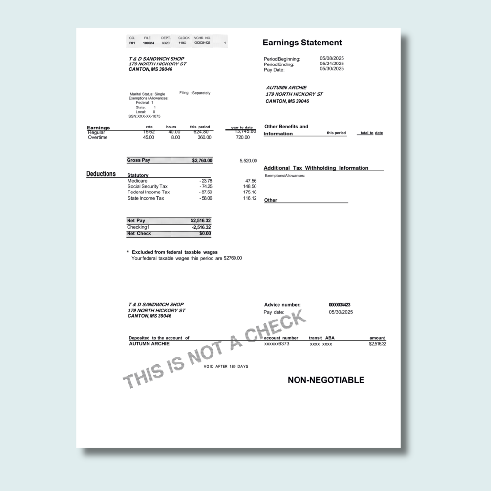 Editable USA Payroll Check Stub Template | ADP Style Pay Slip PDF ...