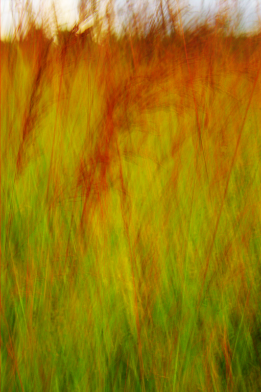 Prairie Memories - An abstract impressionistic photograph