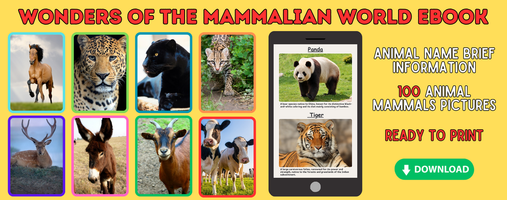 Wonders of the Mammalian World: 100 High-Resolution Images and Briefs ...