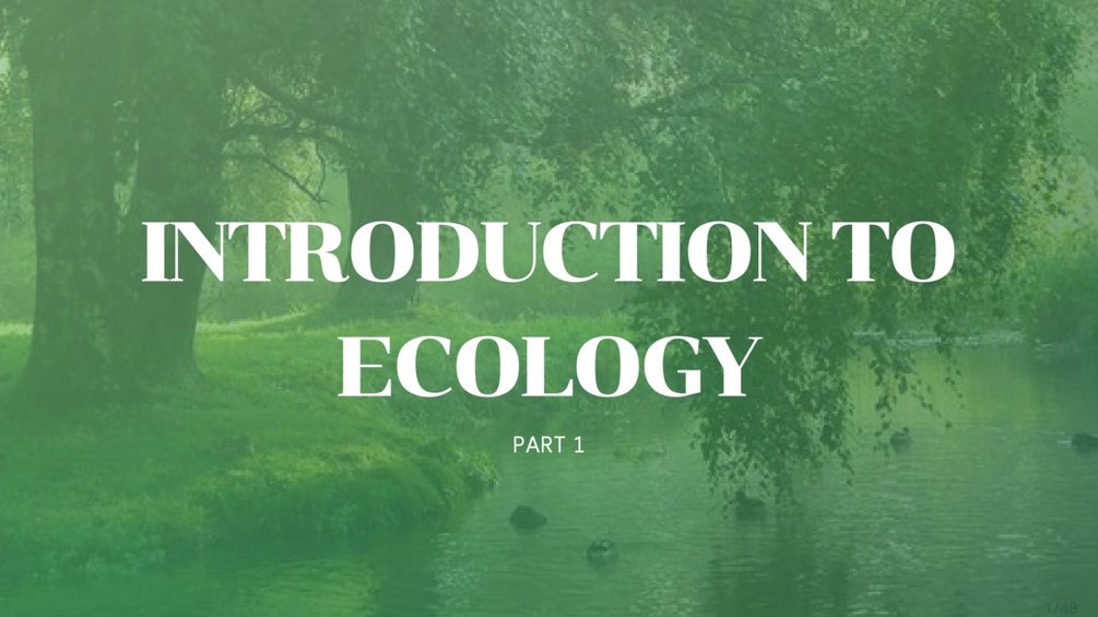 Introduction to Ecology PowerPoint Presentation