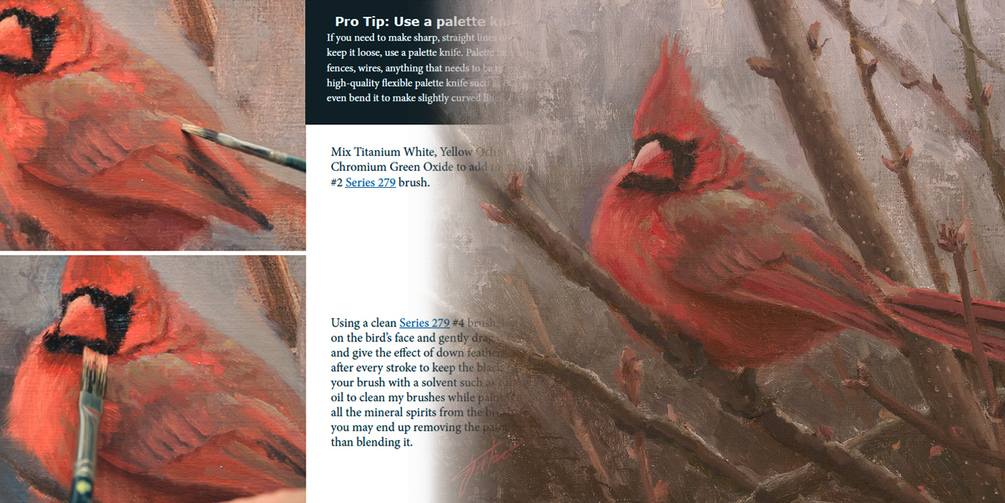 Cardinal Demo Video Companion