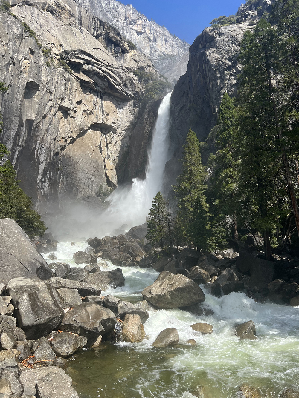 Yosemite National Park Reference Photos