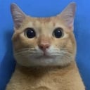 Customizable Jester | VRChat Avatar