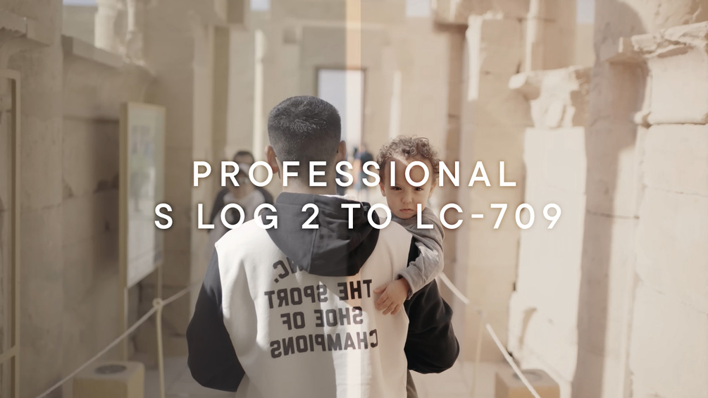 Professional S Log 2 To LC-709 (COLOR CORRECTION)