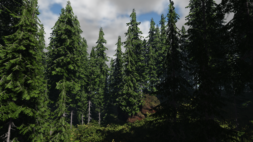 ROBLOX Realistic Douglas Fir Forest Tree Pack