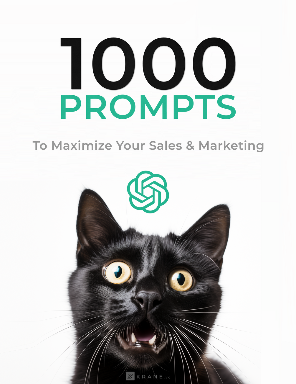1000 ChatGPT Prompts To Maximize Your Sales & Marketing