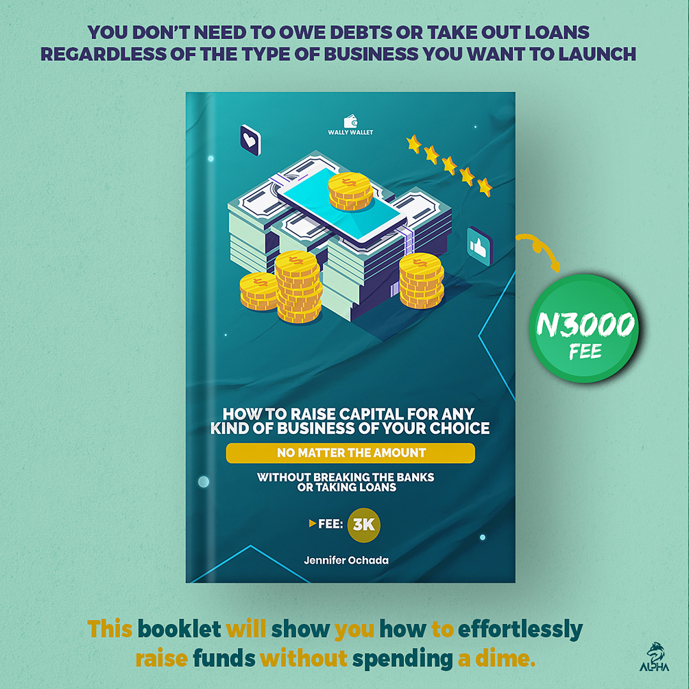 How to raise capital for any kind of business of your choice, no matter ...