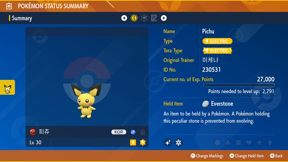 Past Event Shiny Korean Pichu