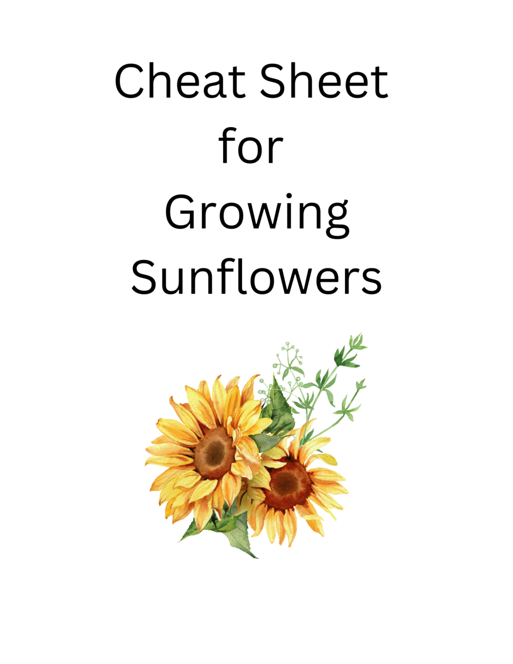 Cheat Sheet for Growing Sunflowers