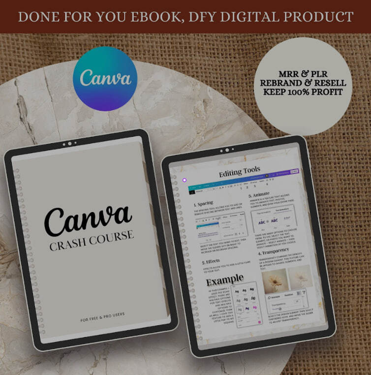 Explain the basics of Canva in detail