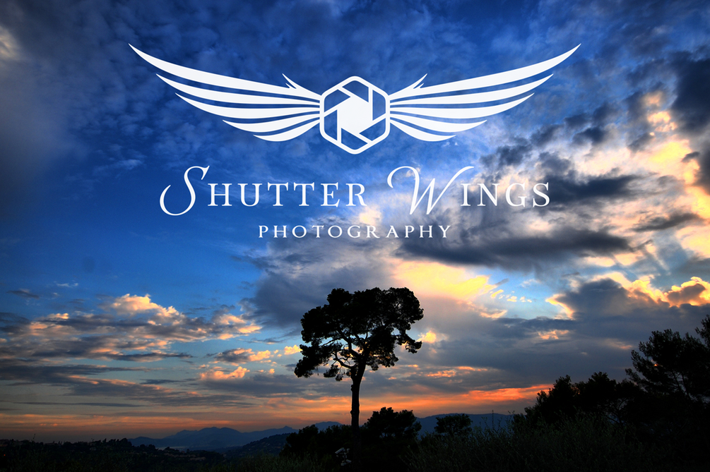 Shutter Wings - Photography Logo Template