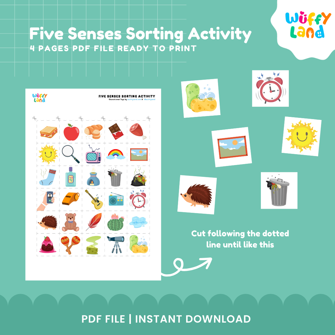 Five Sense Sorting Activity, 5 Sense Sorting, Toddler Preschool ...