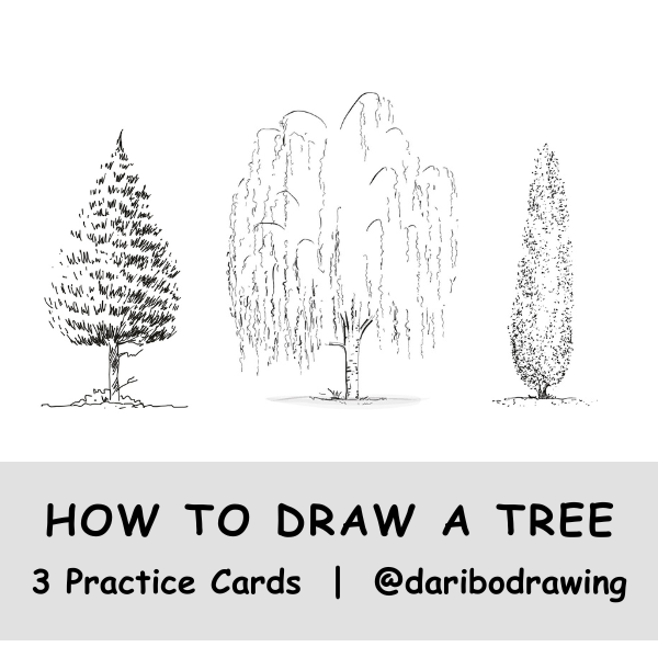 Daria Bogdanova @daribodrawing