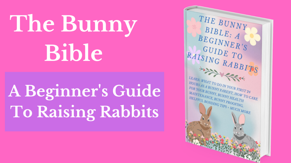 The Bunny Bible