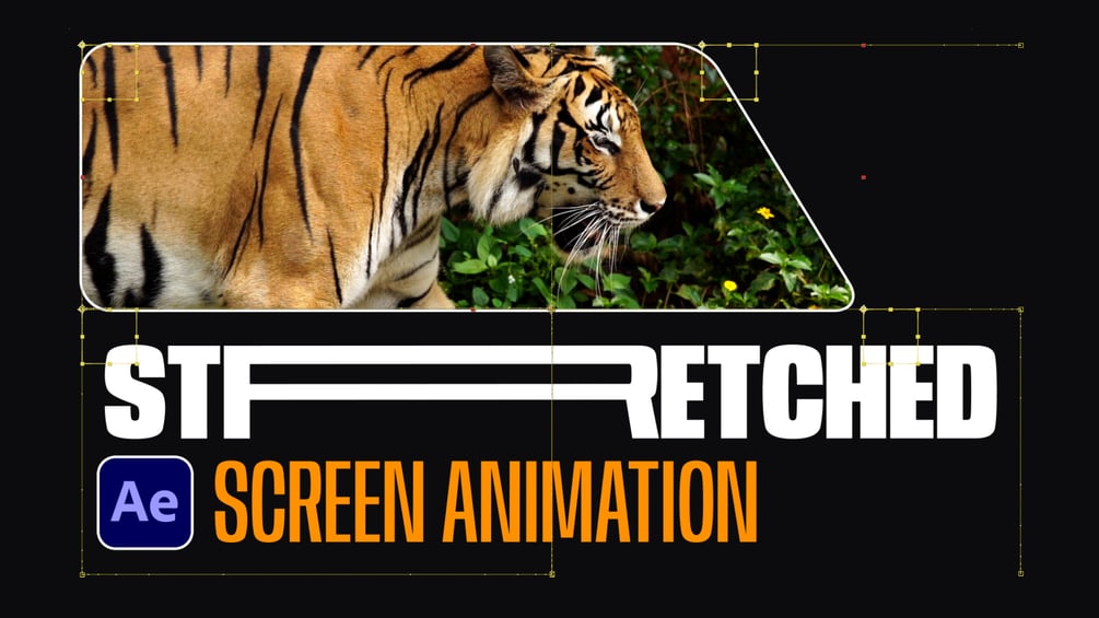Stretched Screen Animation. After Effects Project File