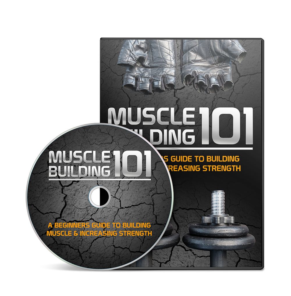 Muscle Building 101 Video Upgrade , A Beginners Guide to Building ...