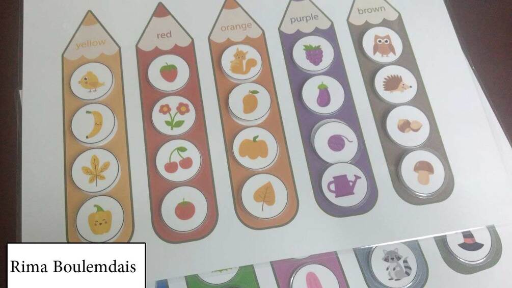 Colors Matching Activity