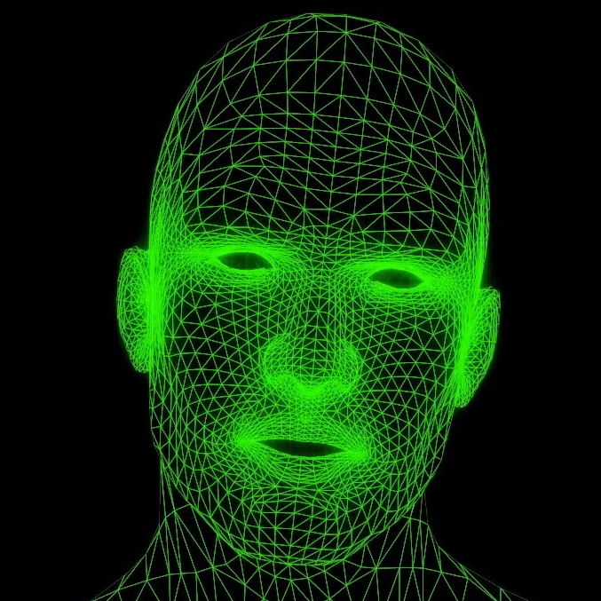 Digital Mesh Mask – Stylized 3D Face Animation with Structured Line ...