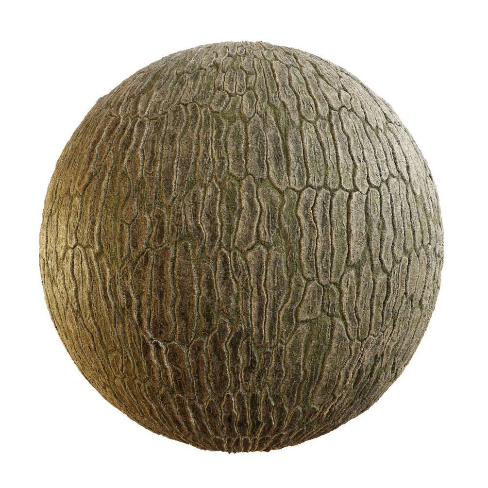 100 Tree Barks Textures PBR